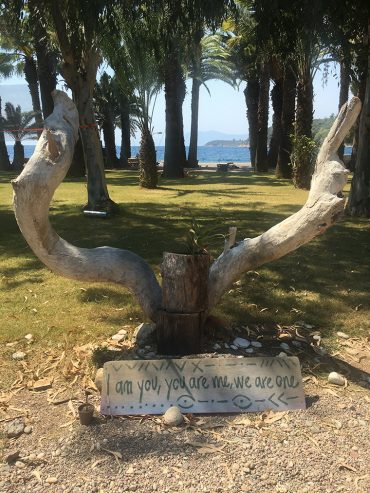 Bonjuk Bay: Unutulmayacak bir Glamping Deneyimi | DenemenLazım