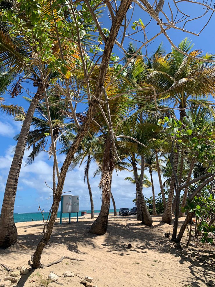 Porto Riko: Ender Bir Tropik Tatil Rotası | DenemenLazım