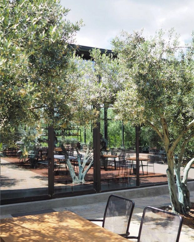 Türkiye’nin Gastronomik Deneyim Sunan Restoranları